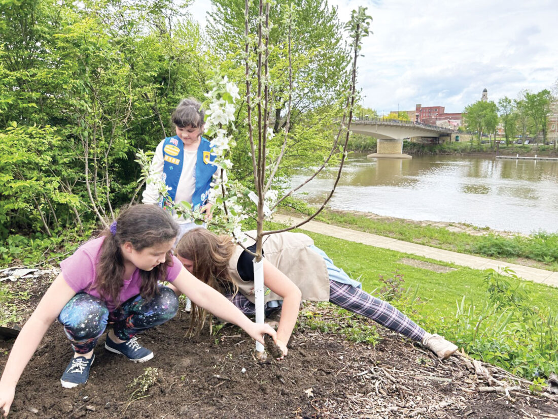 Rooting Interest: Girl Scouts plant apple, peach trees in Marietta ...
